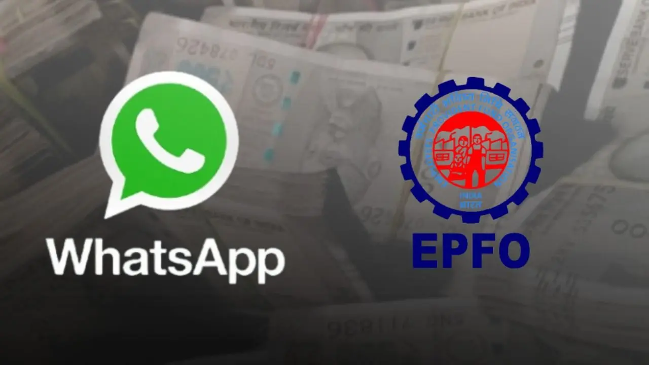 Check PF Account balance on Whatsapp, know easy steps