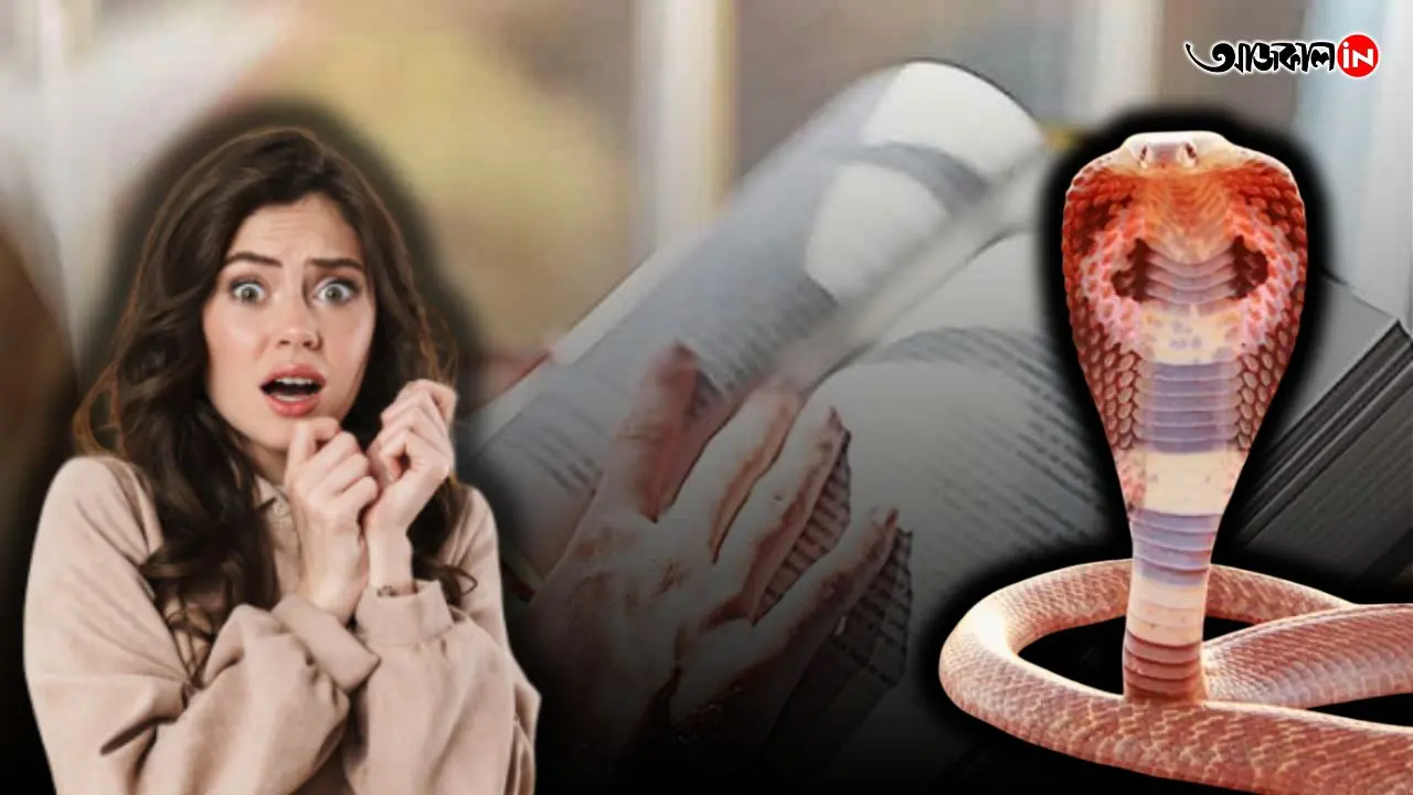 Viral Video: Snake Found Hidden Inside Rows Of Books At Kerala s ...