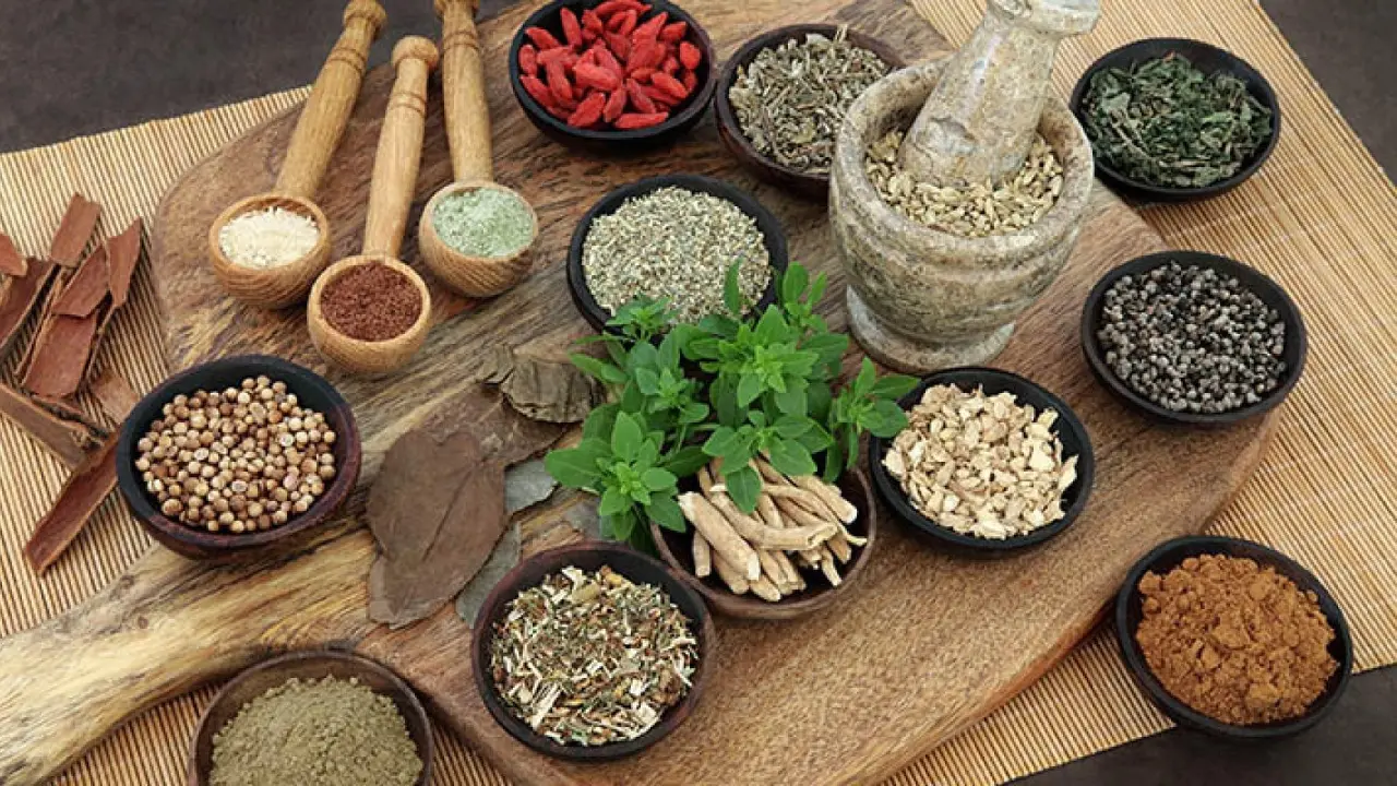 Ayurvedic herbs for health: Essential natural remedies for immunity ...
